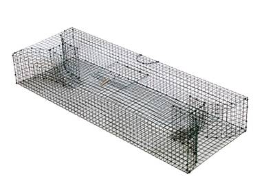 nasse a rats musques